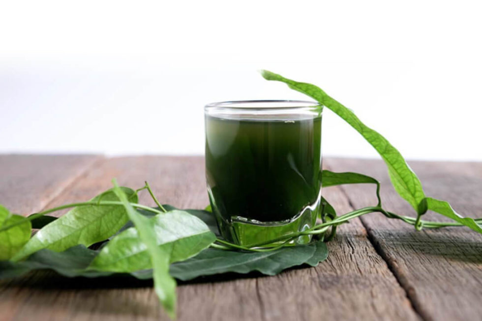 Boost Your Health with Chlorophyll: Benefits, Uses, and Sources ...
