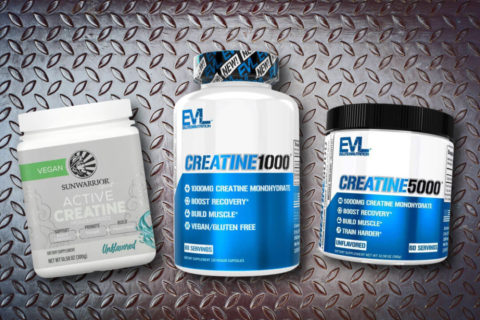 Creatine: The Performance Booster Every Gym Lover Needs to Add to Their ...