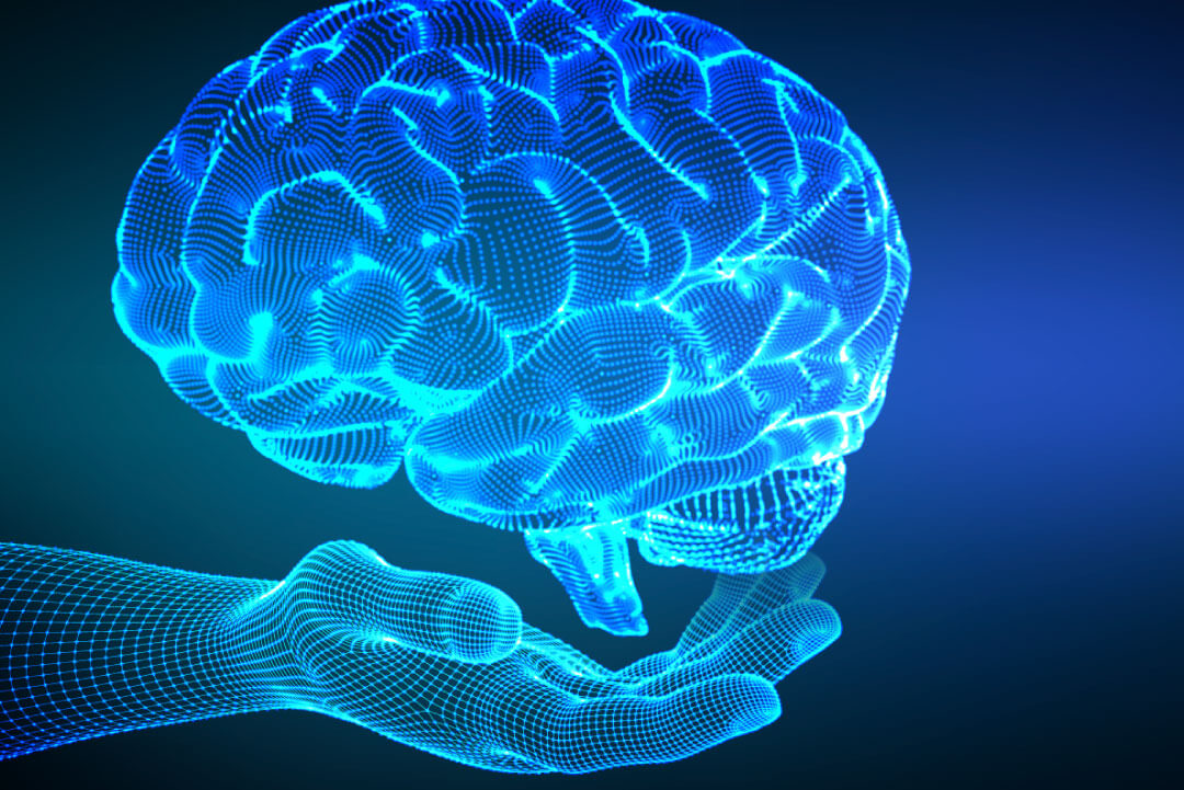 Elevate Your Mood and Mind: How to Use Nutritional Supplements for ...