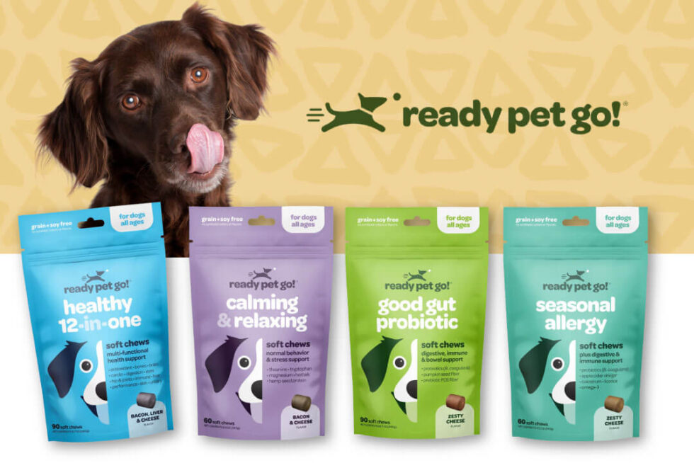 Introducing Ready Pet Go: Your Partner to a Happier, Healthier Pet ...