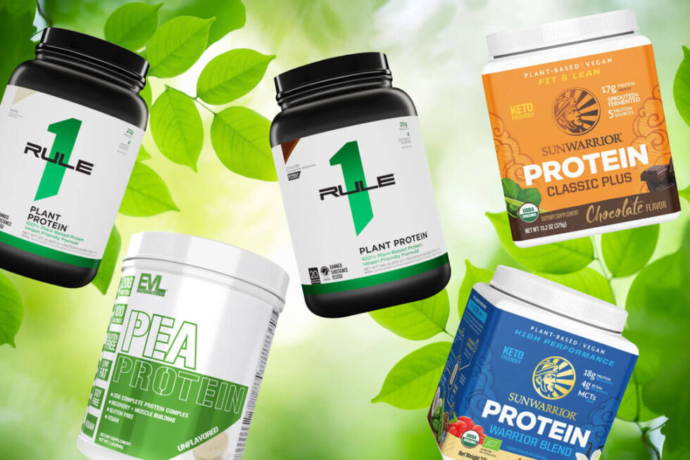 Fuel Your Body Naturally: Why Vegan Proteins Are the Perfect Choice ...